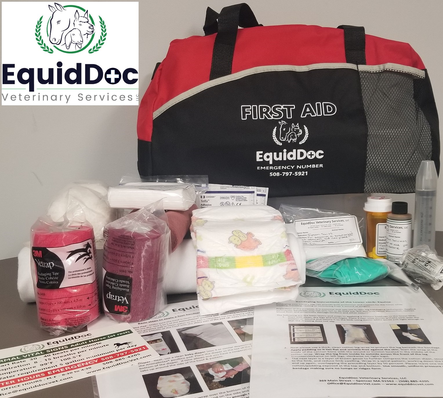First Aid Kit & Care Blog 2021 | EquidDoc Veterinary Services